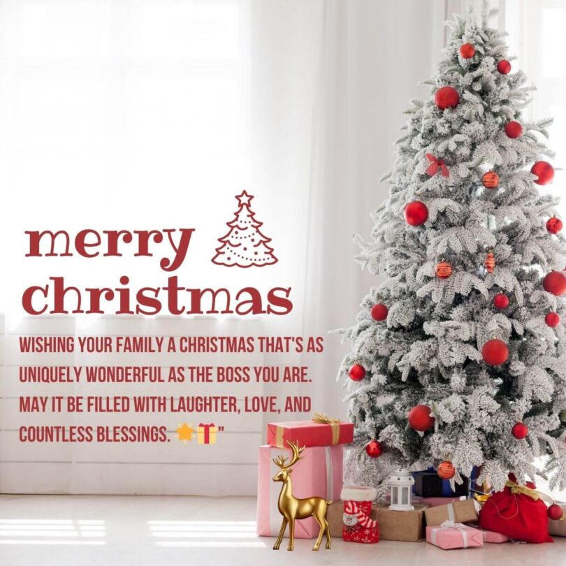 60+ Merry Christmas Messages for Boss & His Family (2025)